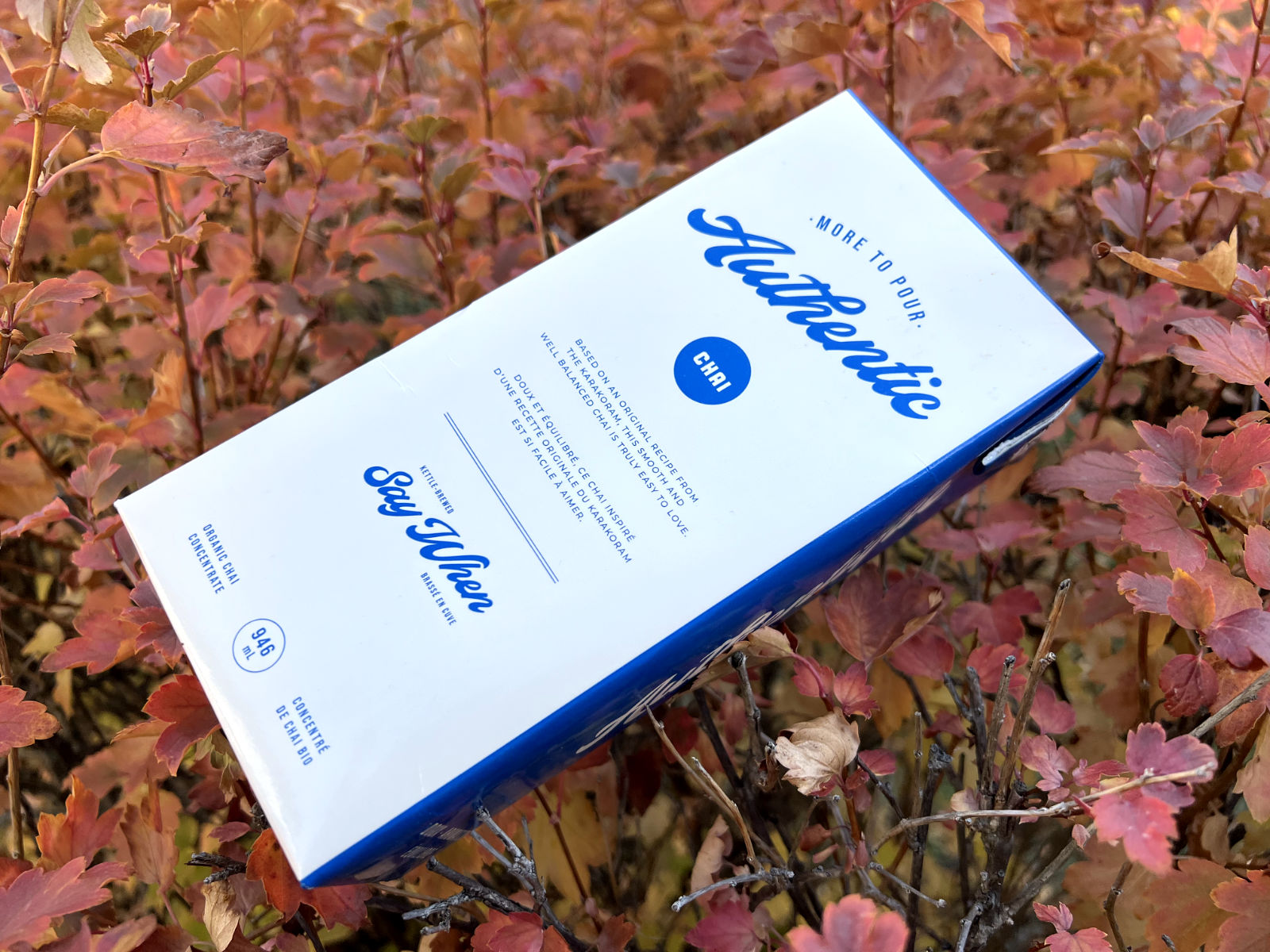 Review: Say When Authentic Chai Concentrate - NEAROF